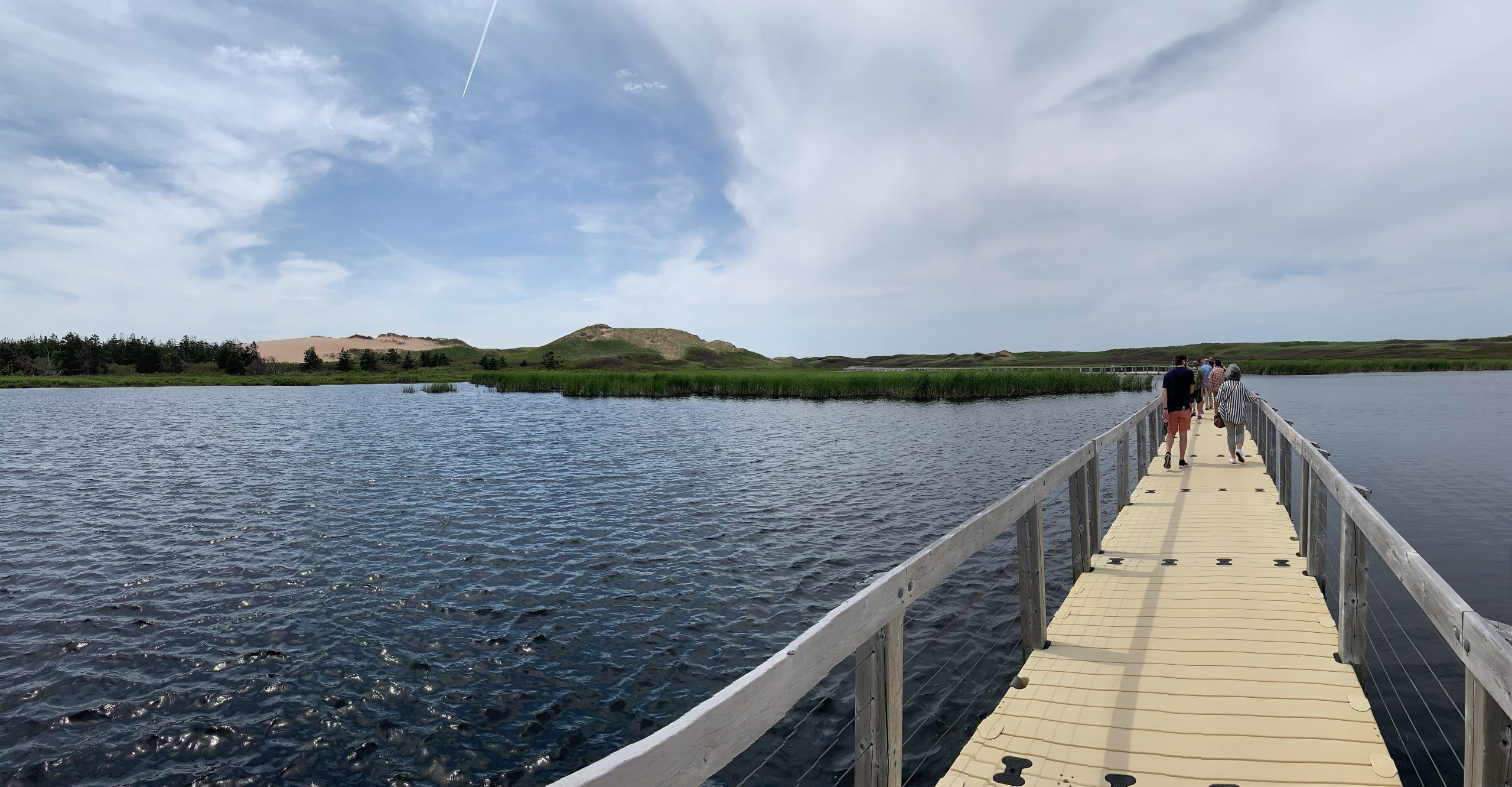 The 2024 Gulf Ecologies Meeting - The GeoREACH Lab at UPEIThe GeoREACH ...