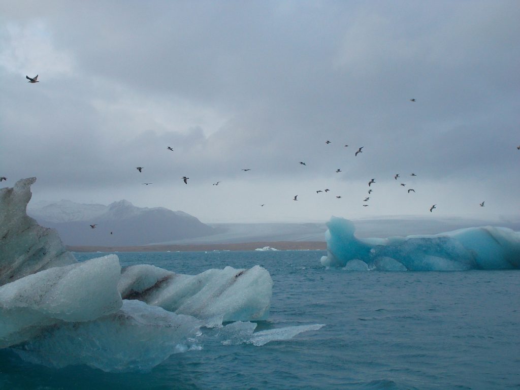 A Walk on the Edge 2018 | Crystal Burrows – Master of Arts in Island ...