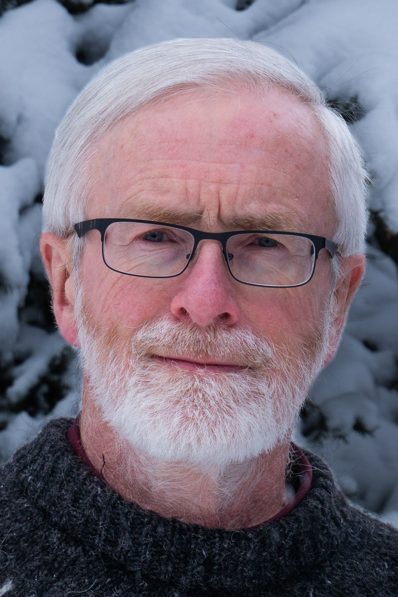 David-Cairns | Island Studies Old